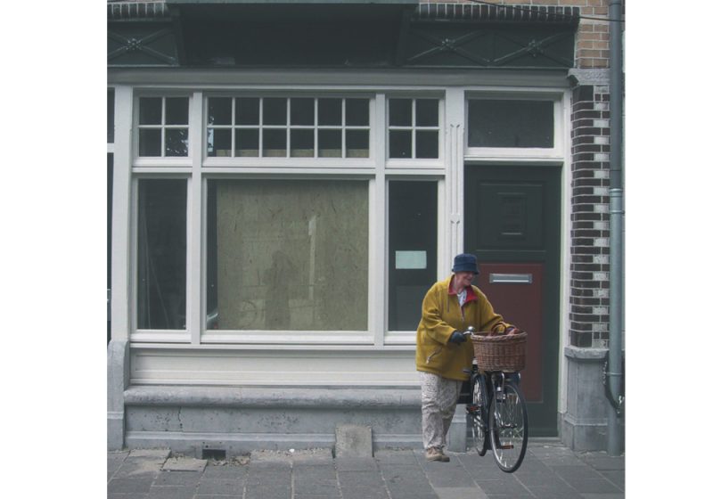 Facade gardens, Amsterdam - REDscape